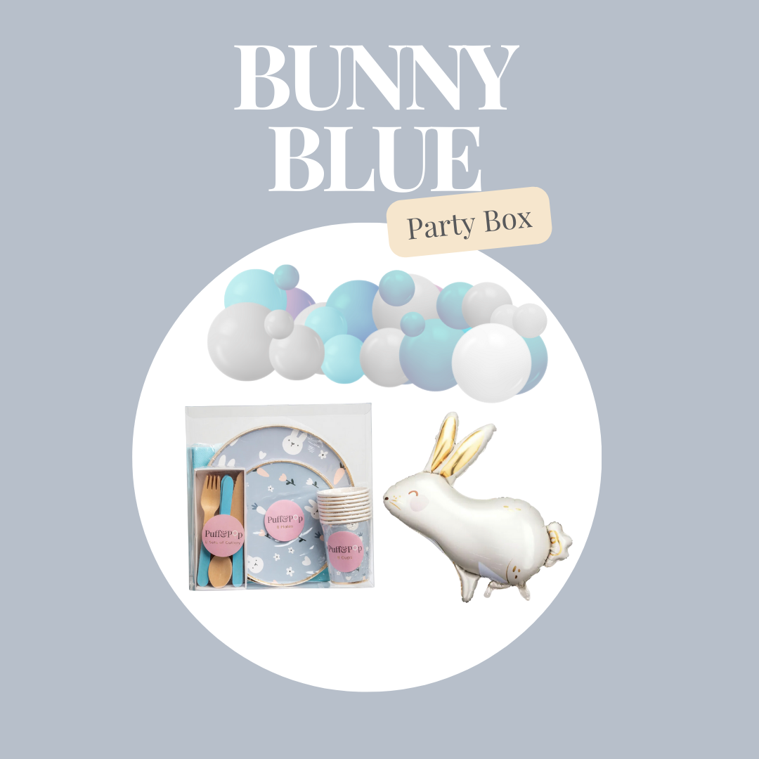 Bunny Blue Assembled Party Box