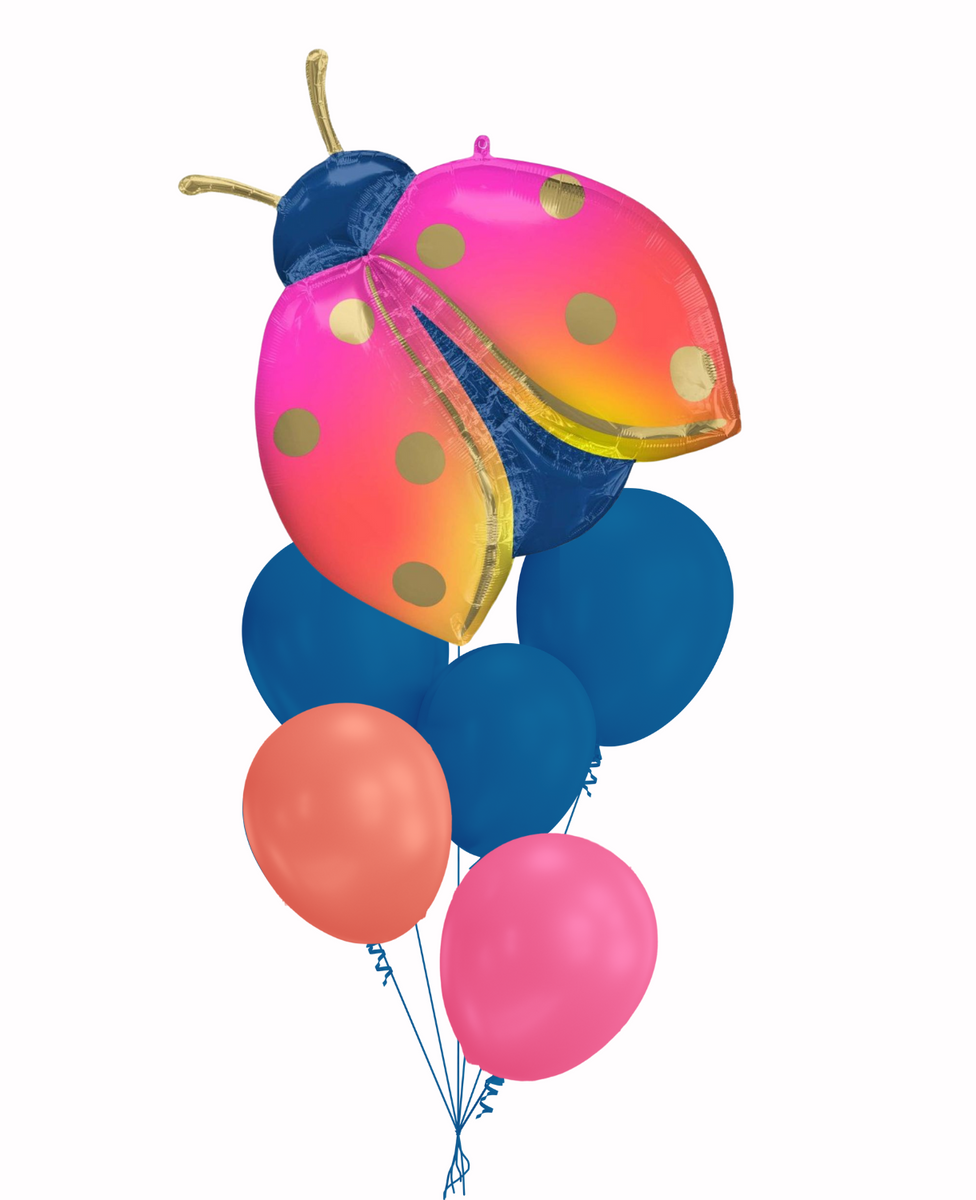 Colourful Ladybug Bouquet – Puff and Pop